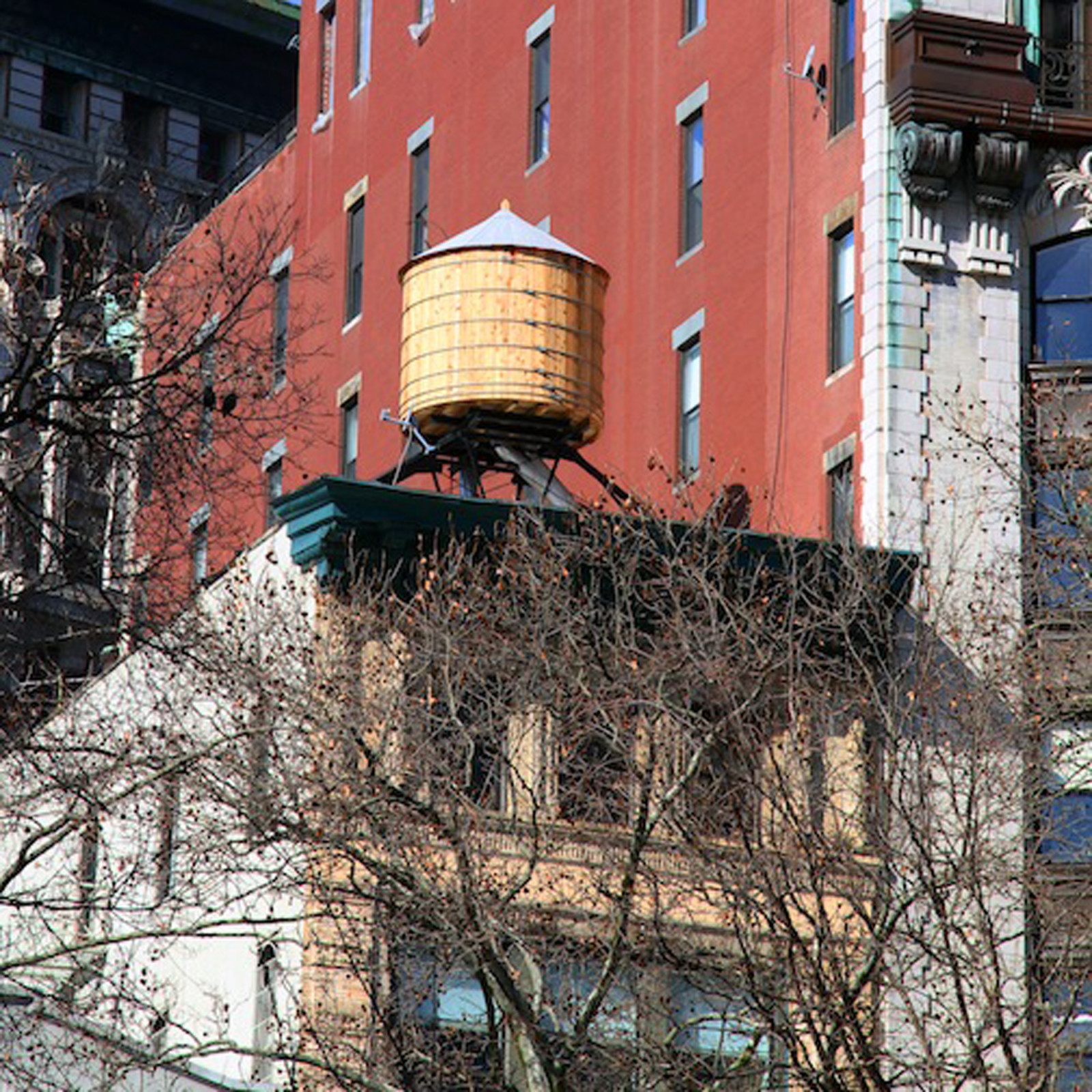 Iván Navarro: This Land Is Your Land — Madison Square Park Conservancy