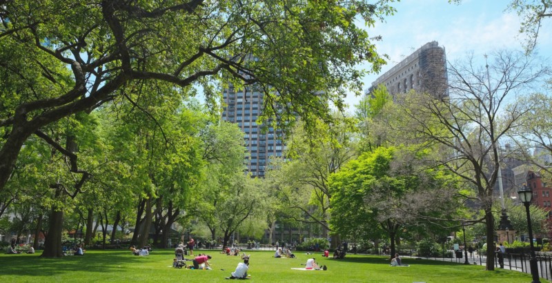 Welcome to Madison Square Park — Madison Square Park Conservancy