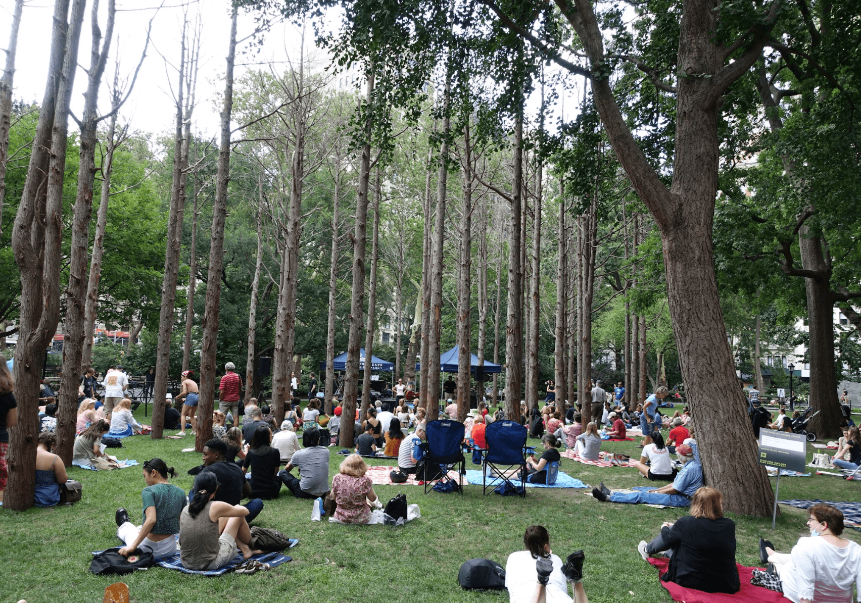 2021 in Madison Square Park — Madison Square Park Conservancy