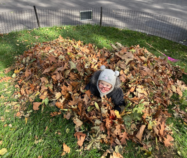 Meet Associate Board Member Jude Gorman — Madison Square Park Conservancy