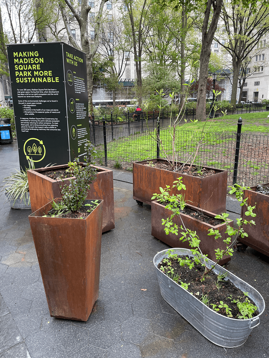 Spring Native Plant Garden — Madison Square Park Conservancy