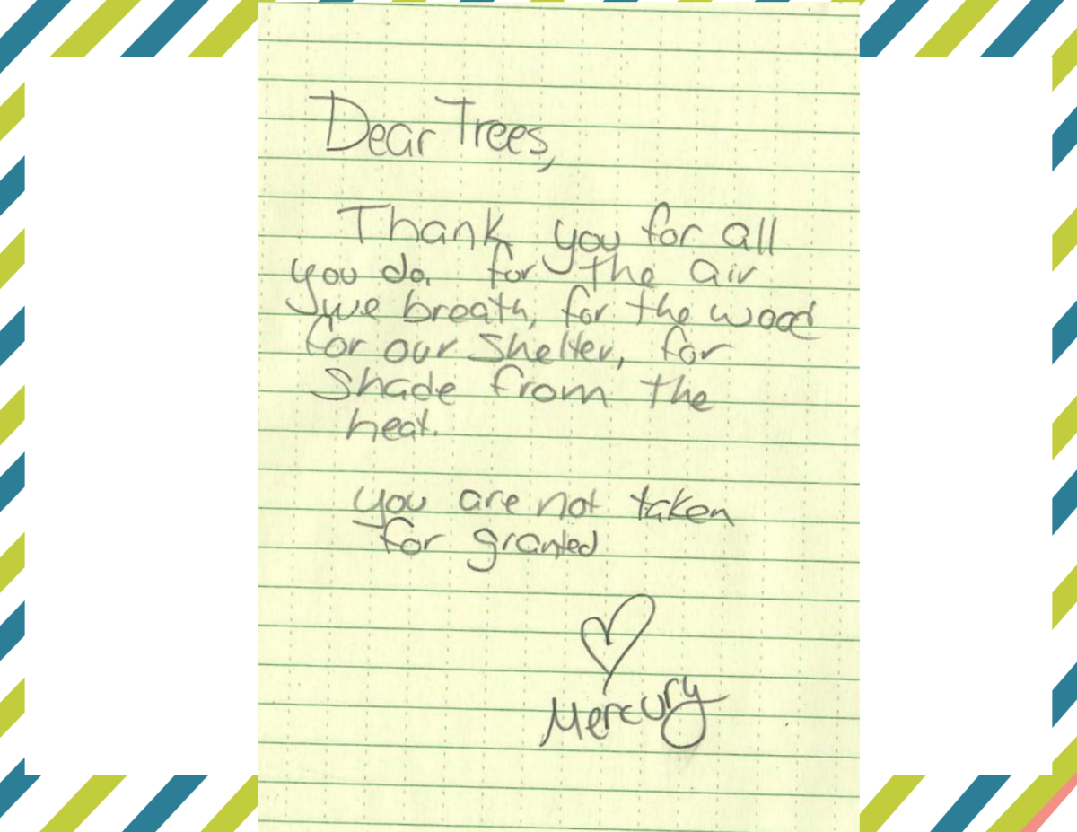 Letters to the Trees — Madison Square Park Conservancy