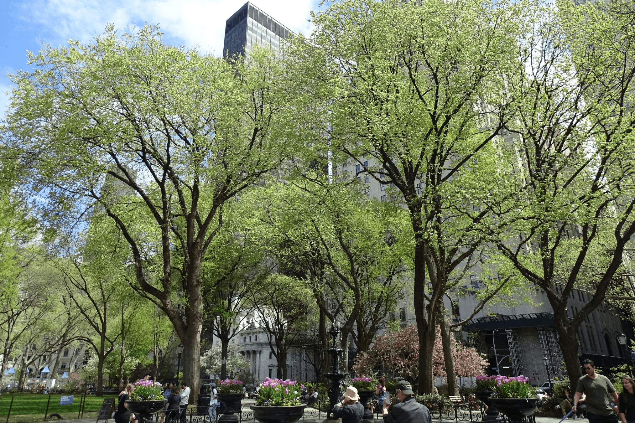 Welcome to Madison Square Park — Madison Square Park Conservancy
