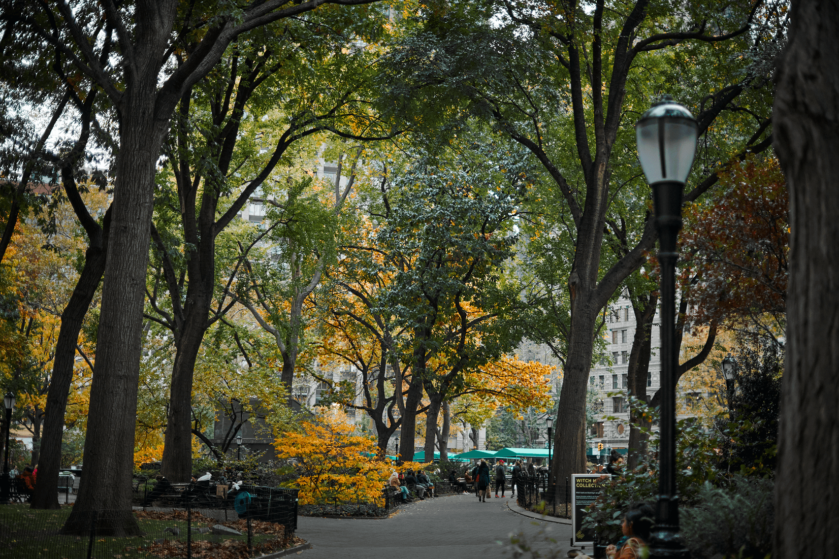 Welcome to Madison Square Park — Madison Square Park Conservancy