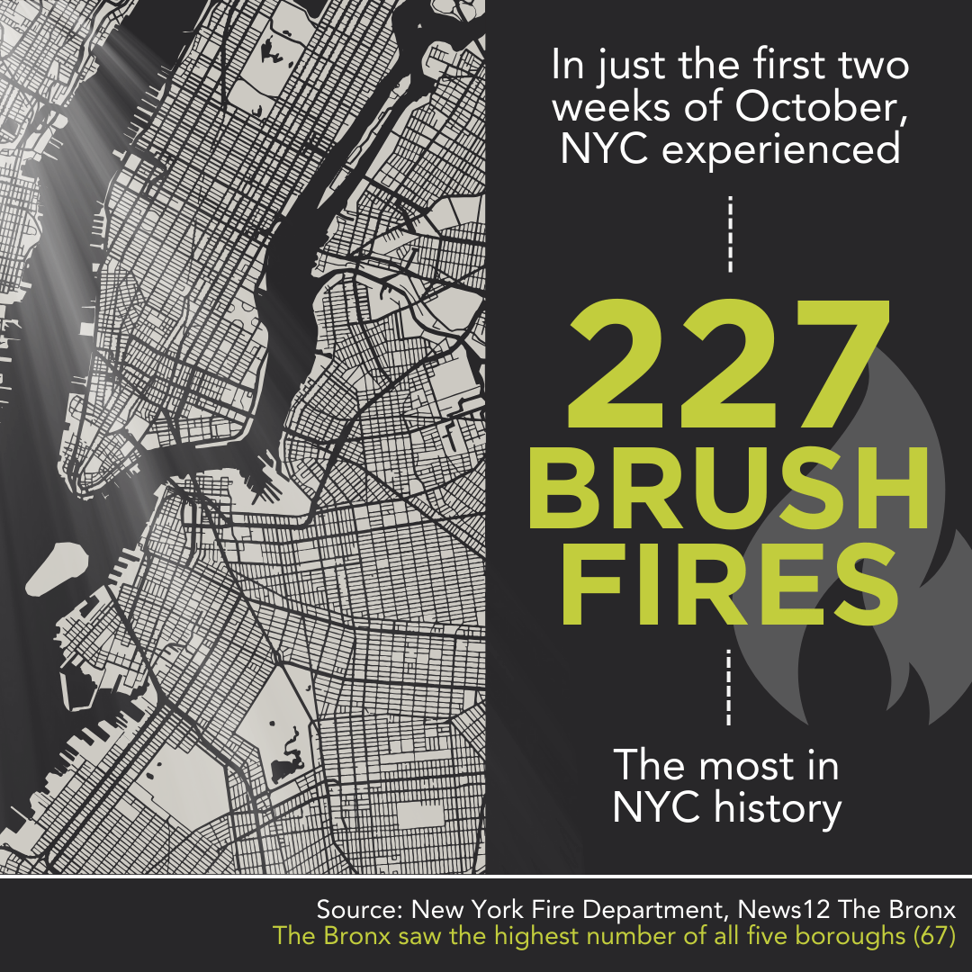 Climate Change in NYC Parks — Madison Square Park Conservancy