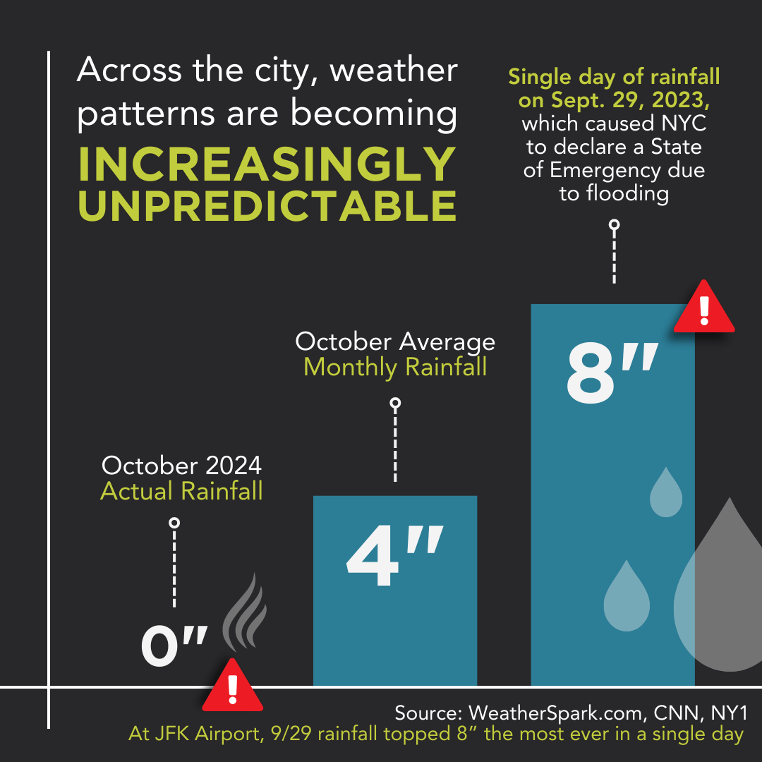 Climate Change in NYC Parks — Madison Square Park Conservancy