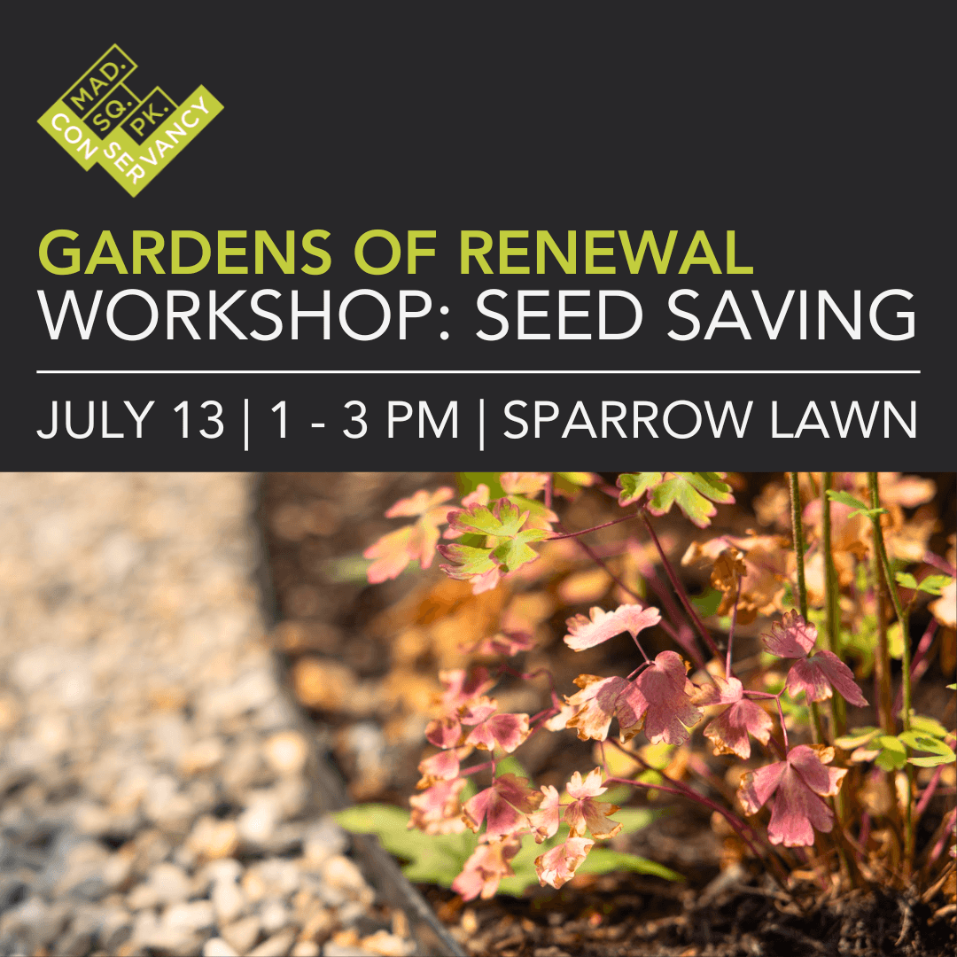 Gardens of Renewal - Workshop: Seed Saving with Lily Consuelo Saporta ...